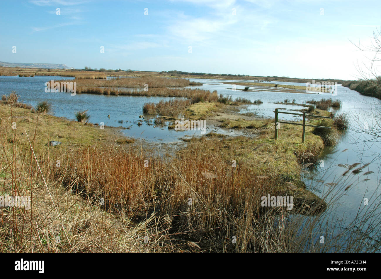 Marshland at Lodmoor Nature Reserve Weymouth Dorset Stock Photo - Alamy