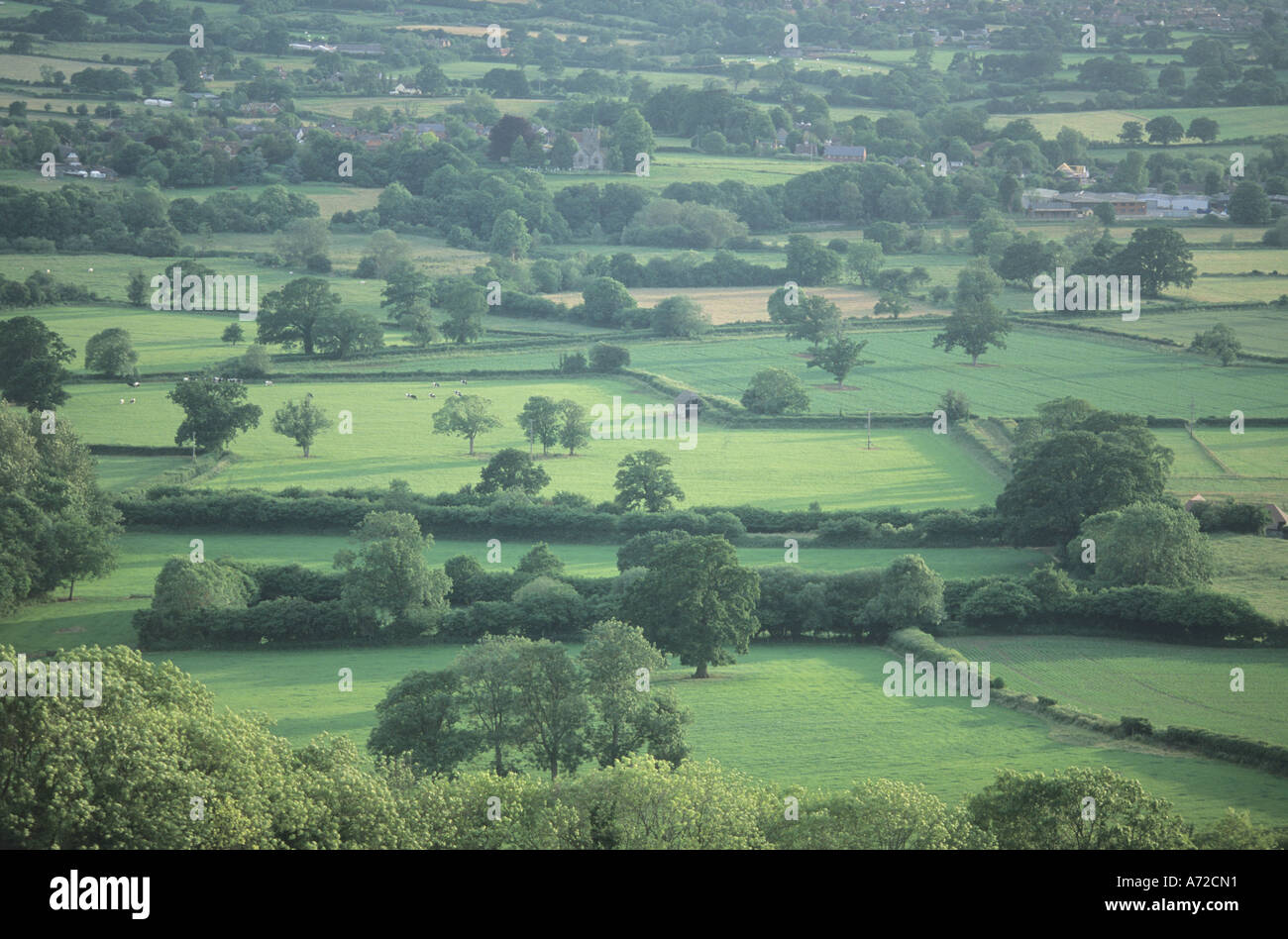 Aerial view of the hedgerows and small fields typical to the Blackmore ...