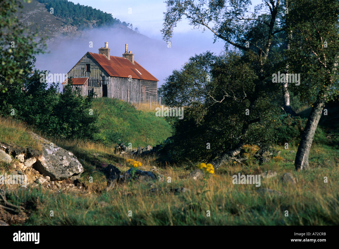 Traditional scottish timber clad building croft, with larch lap ...
