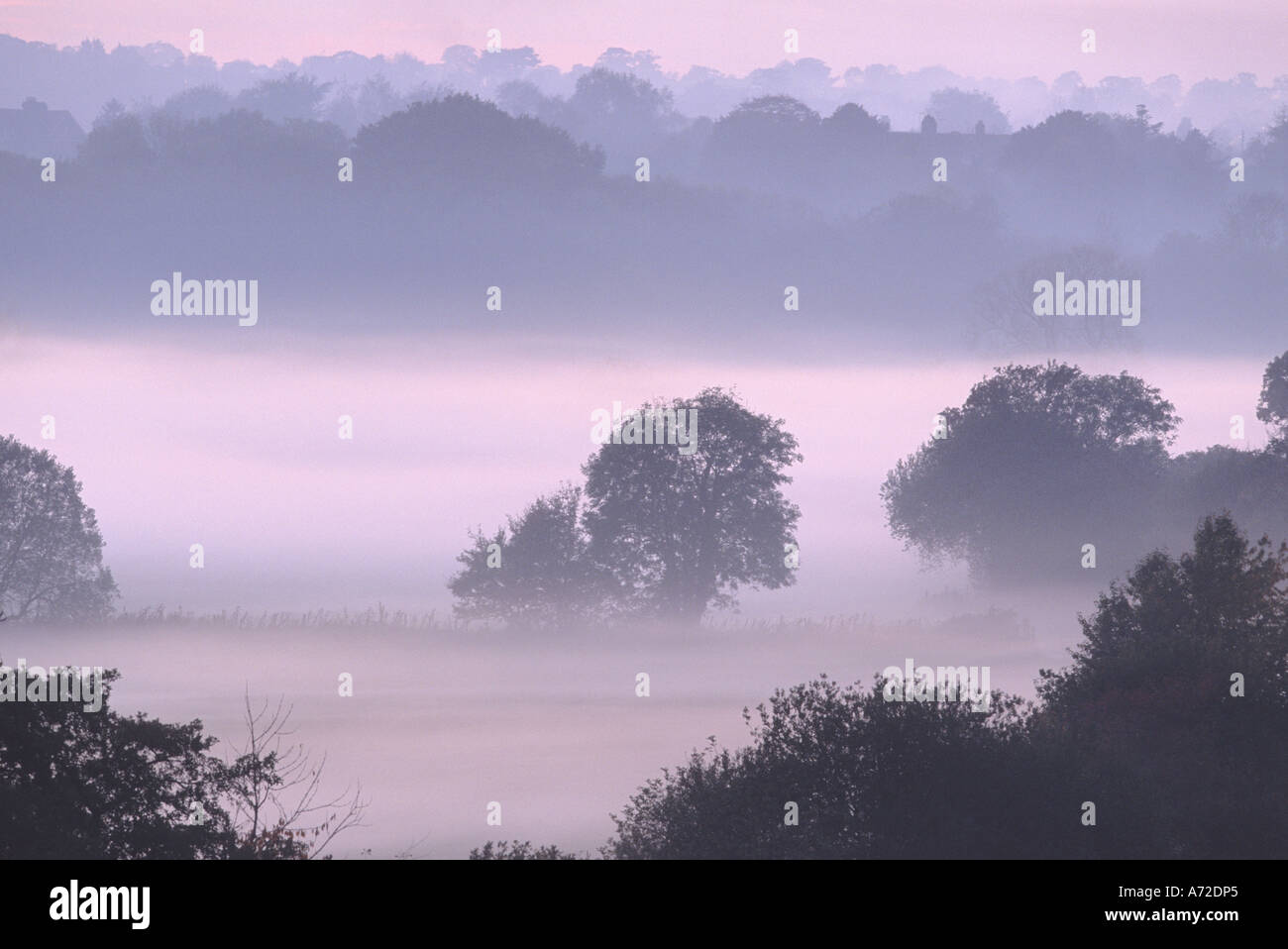 Mist rising off the ancient water meadow along the River Stour at dusk ...