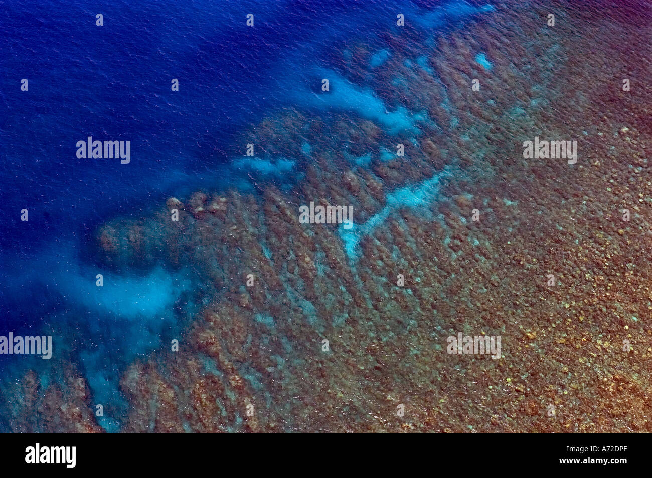 Coral reef overview hi-res stock photography and images - Alamy