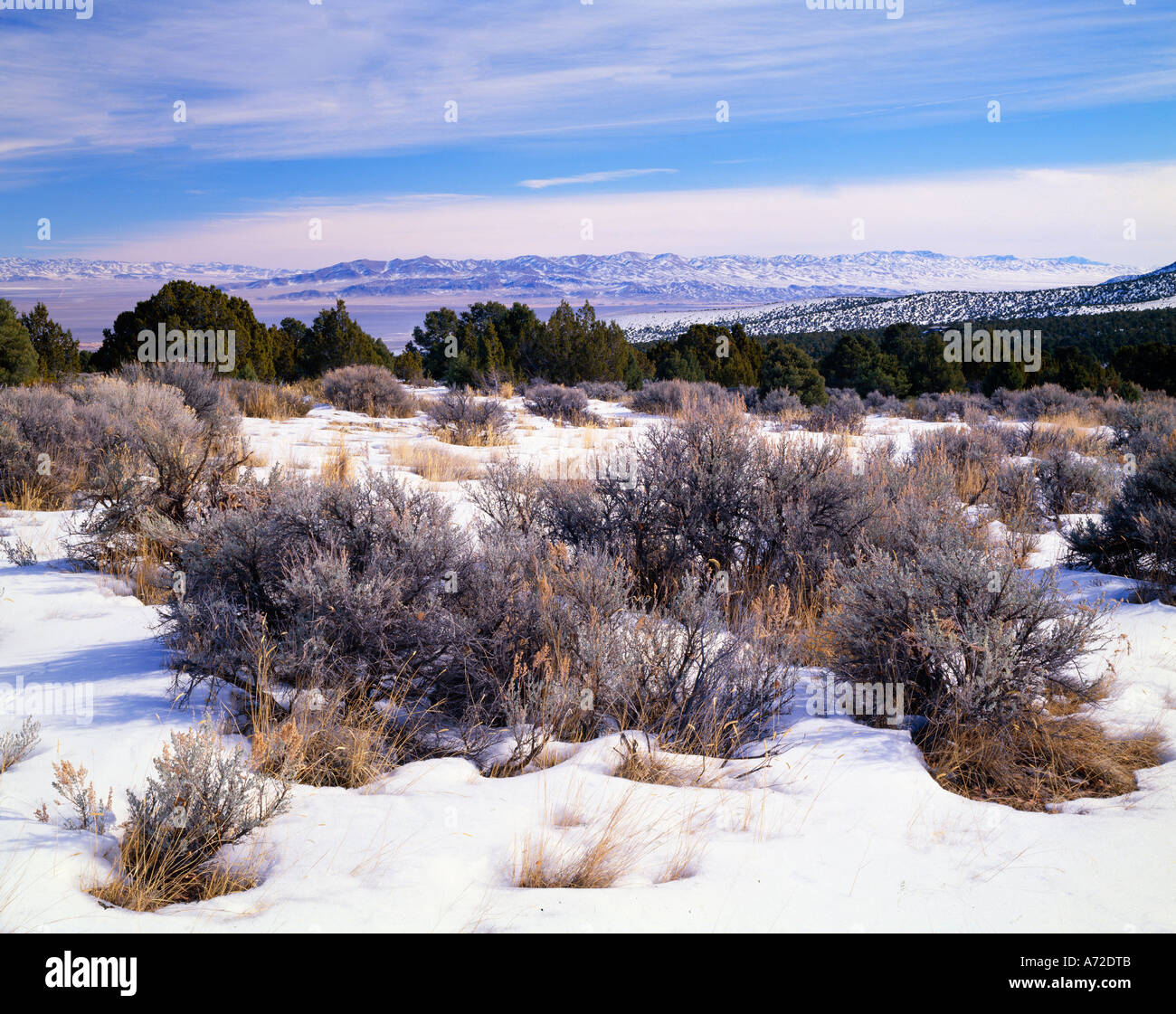 A high desert winter landscape Great Basin National Park Stock Photo ...