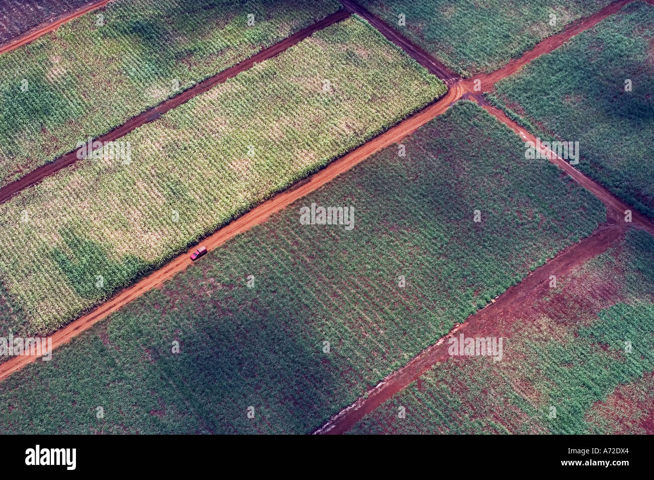aerial view of sugar cane fields Stock Photo - Alamy