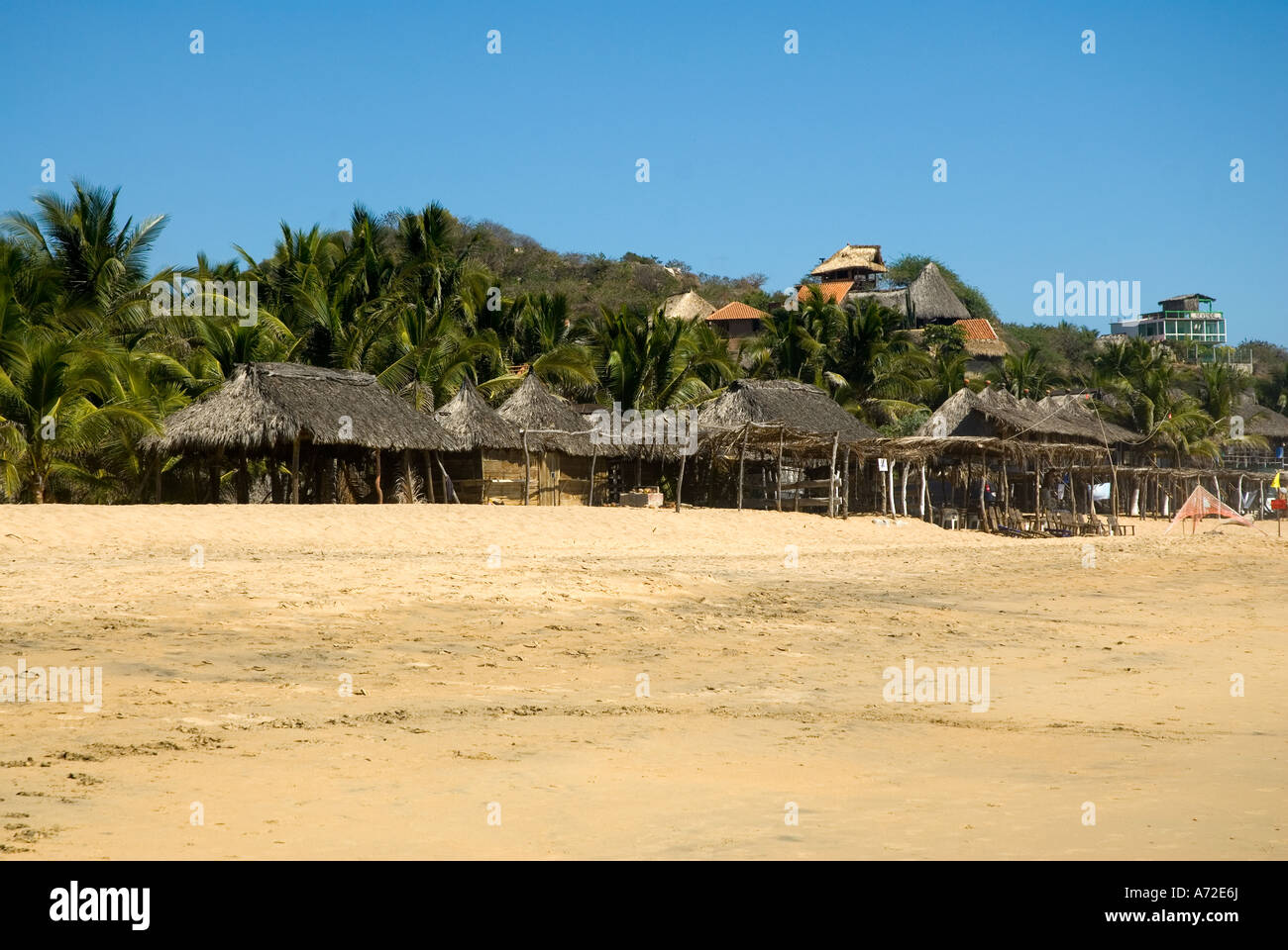 Zipolite beach oaxaca palm hi-res stock photography and images - Alamy
