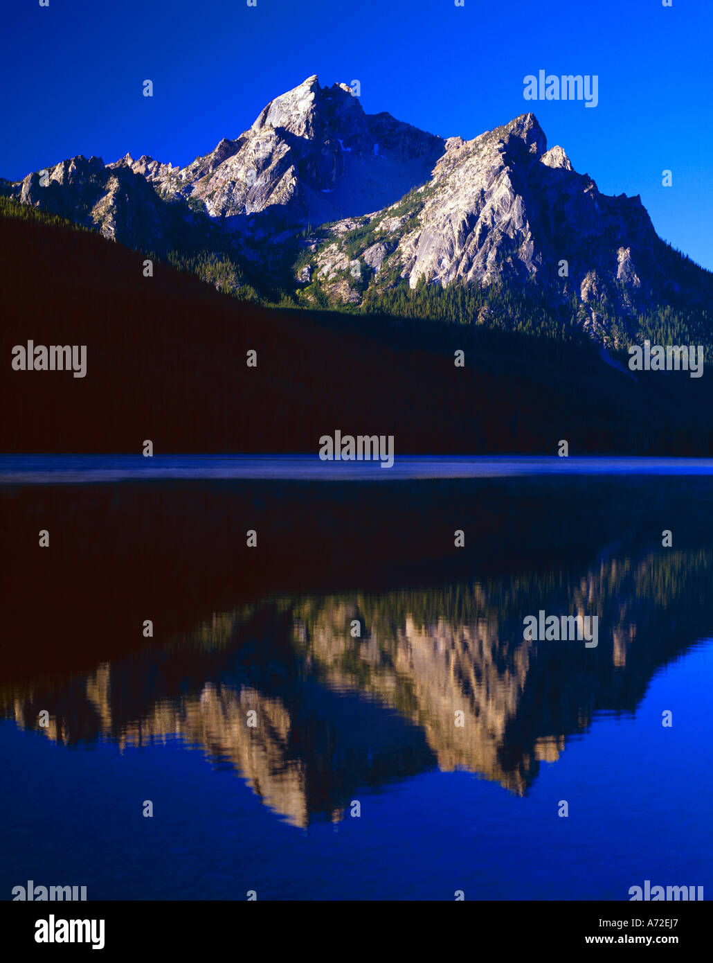 Early morning in the Sawtooth Range Sawtooth National Forest Stock ...