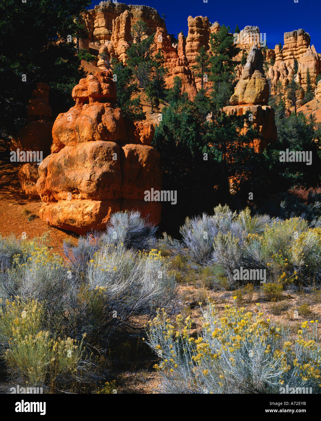 Colorful hoodoo rock formations Red Canyon Bryce Canyon National Park ...