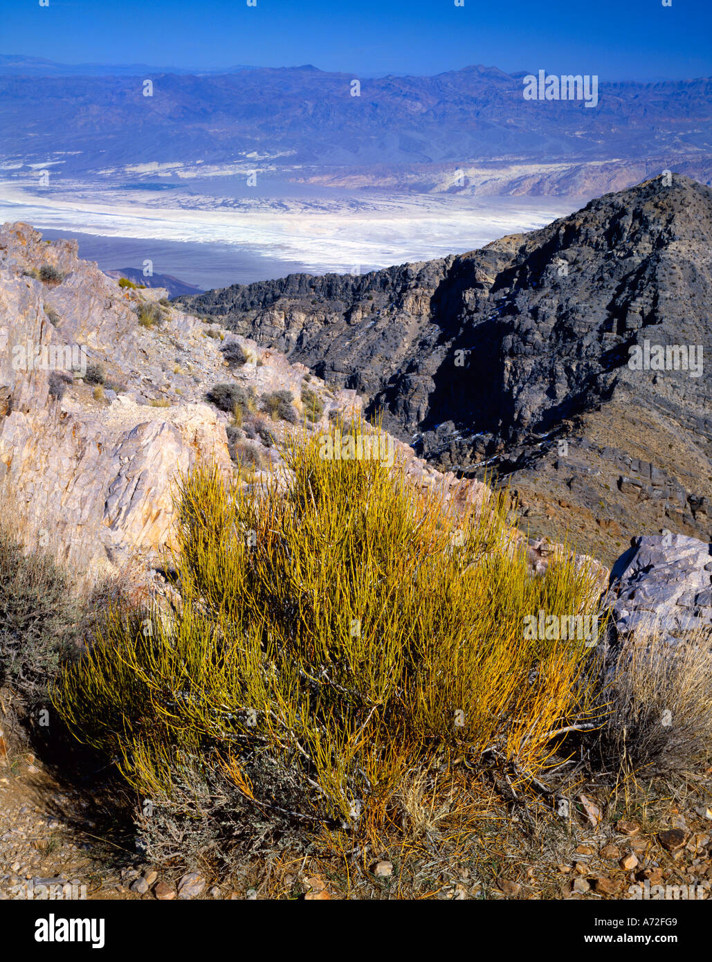 Isolated secluded death hi-res stock photography and images - Alamy