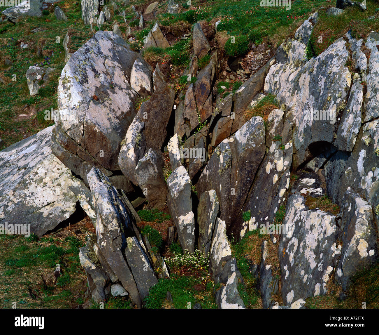 Weathered rock and lichen Stock Photo - Alamy