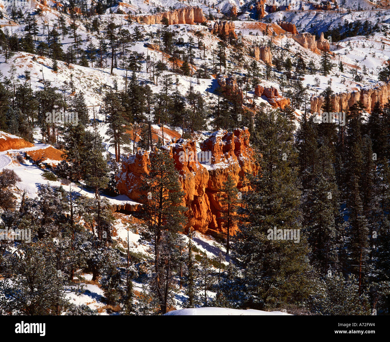 Winter at Bryce Canyon National Park Stock Photo - Alamy