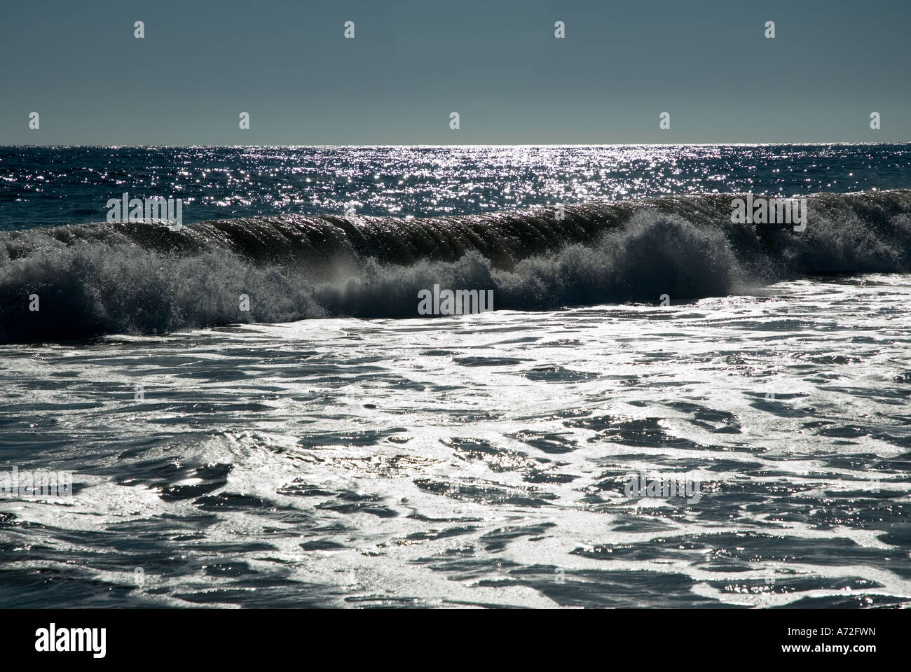 Zipolite beach oaxaca palm hi-res stock photography and images - Alamy