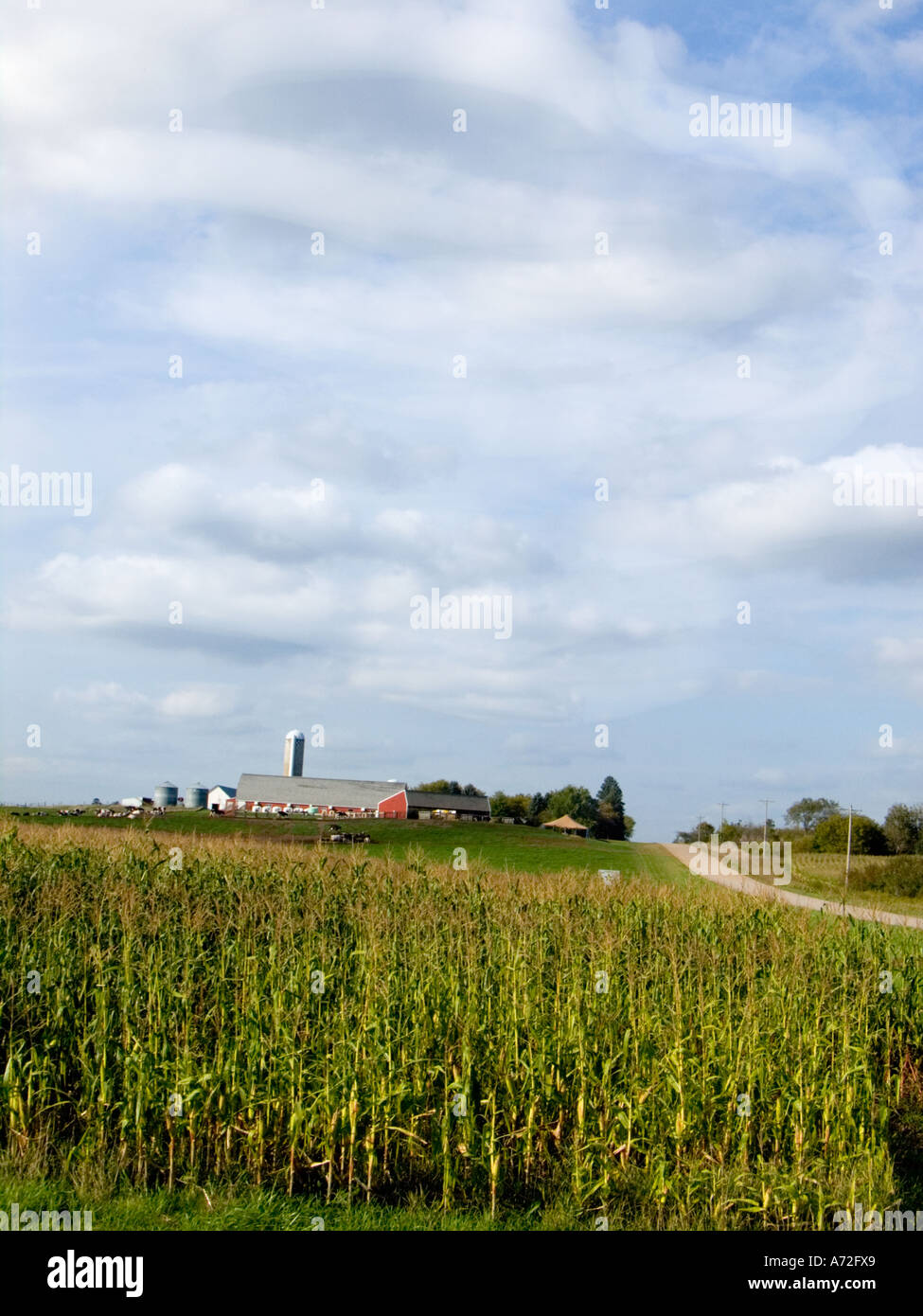 Iowa dairy farm hi-res stock photography and images - Alamy