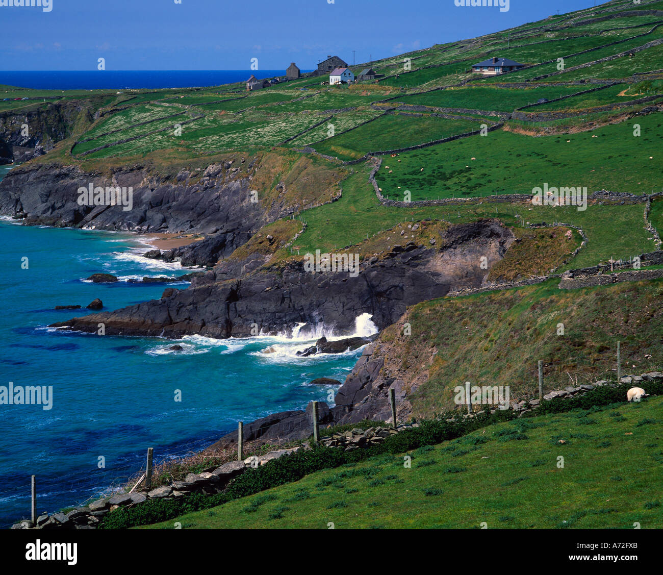 Irish landscape of stone walls and farms along sea coast Stock Photo ...