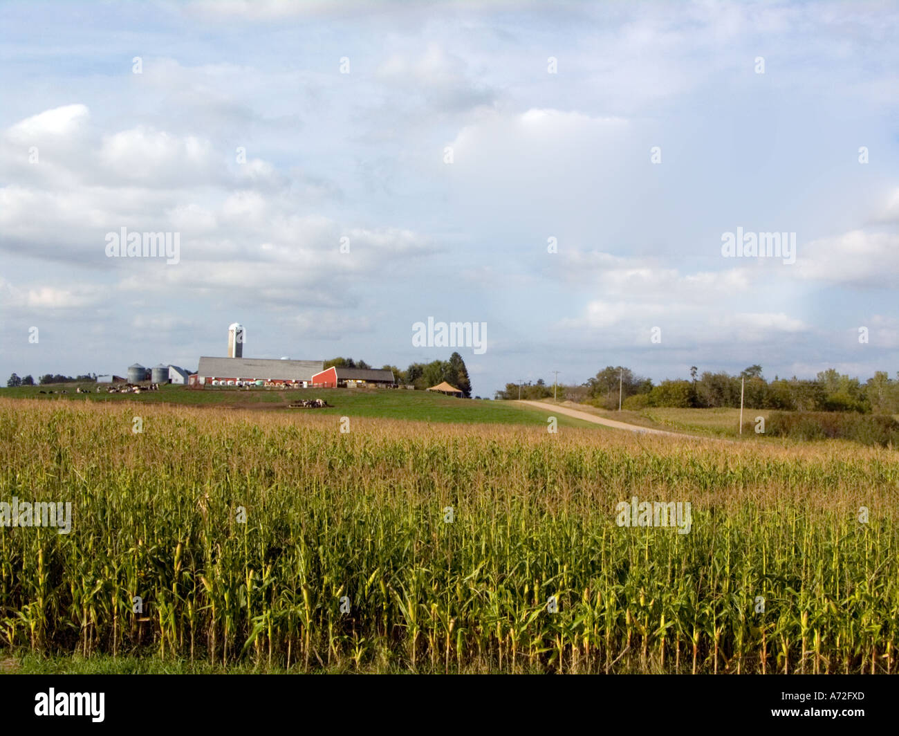 Iowa Dairy Farm High Resolution Stock Photography and Images - Alamy