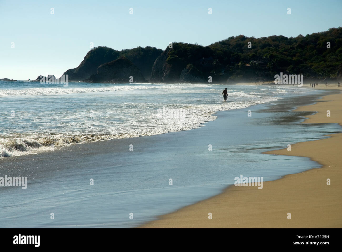 Zipolite beach oaxaca palm hi-res stock photography and images - Alamy