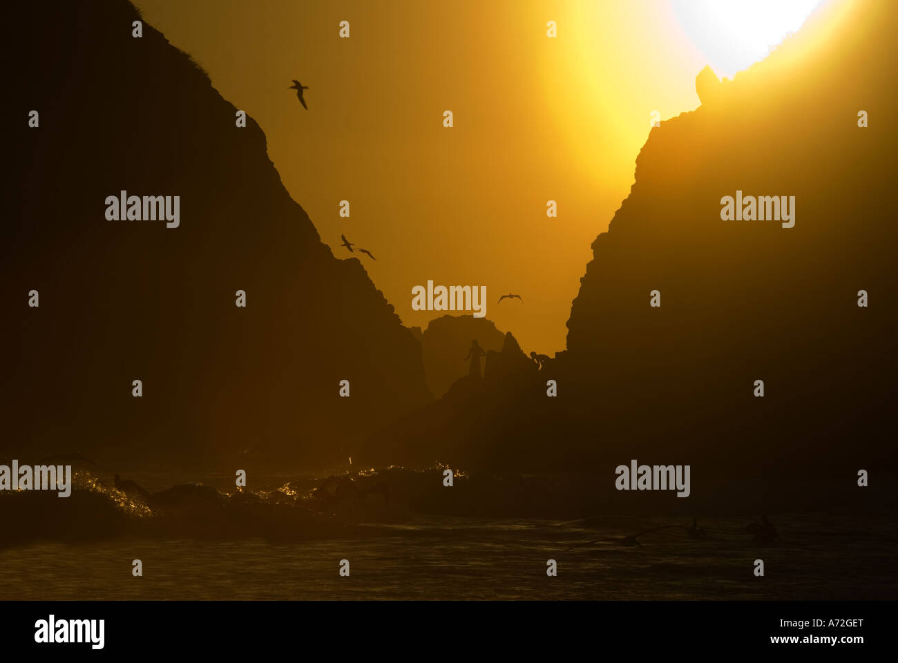 Zipolite - sunset with godwit and men in the background stand on the ...