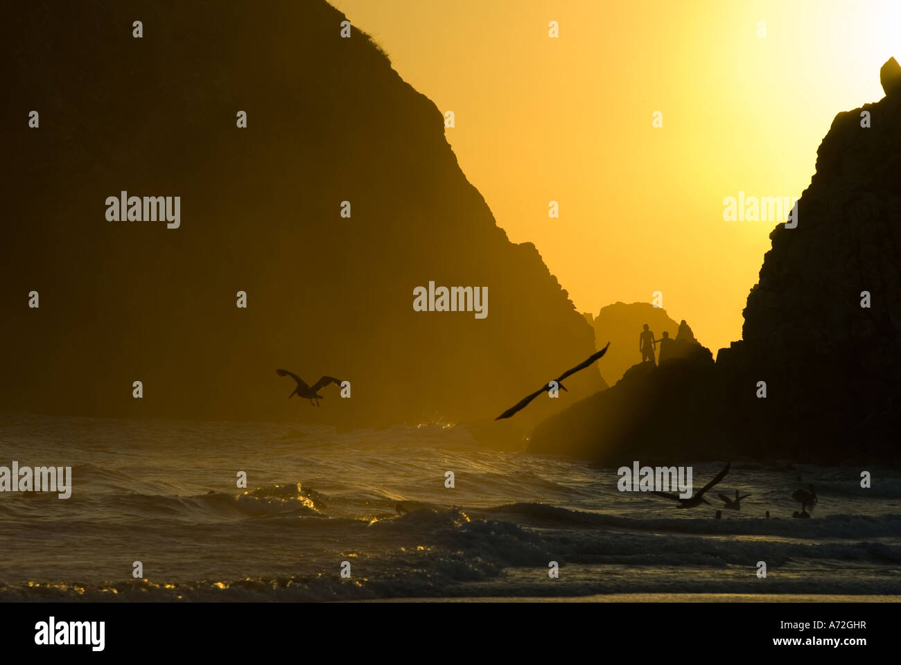 Zipolite - sunset with godwit and men in the background stand on the ...