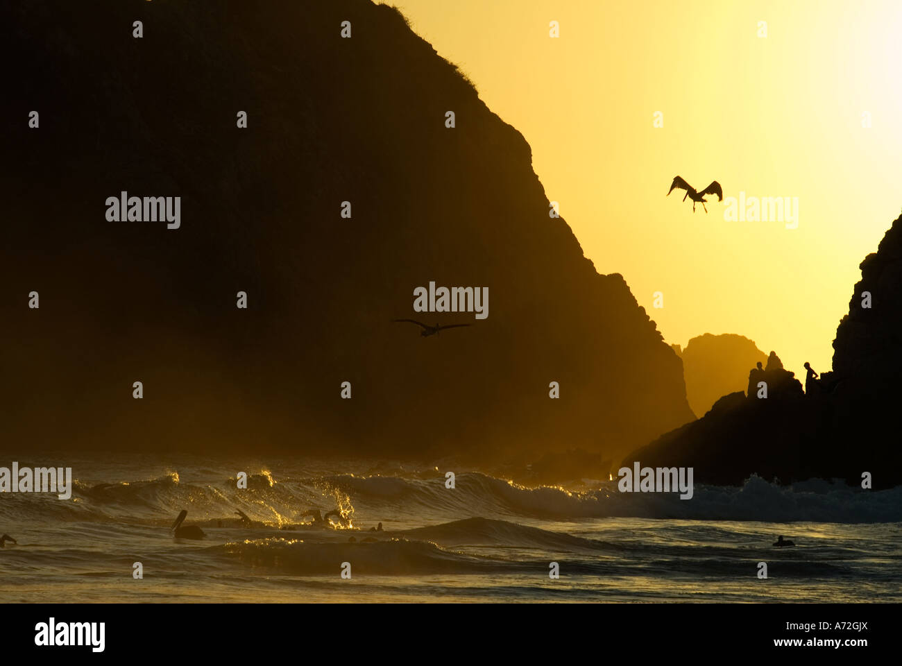 Zipolite - sunset with godwit and men in the background stand on the ...