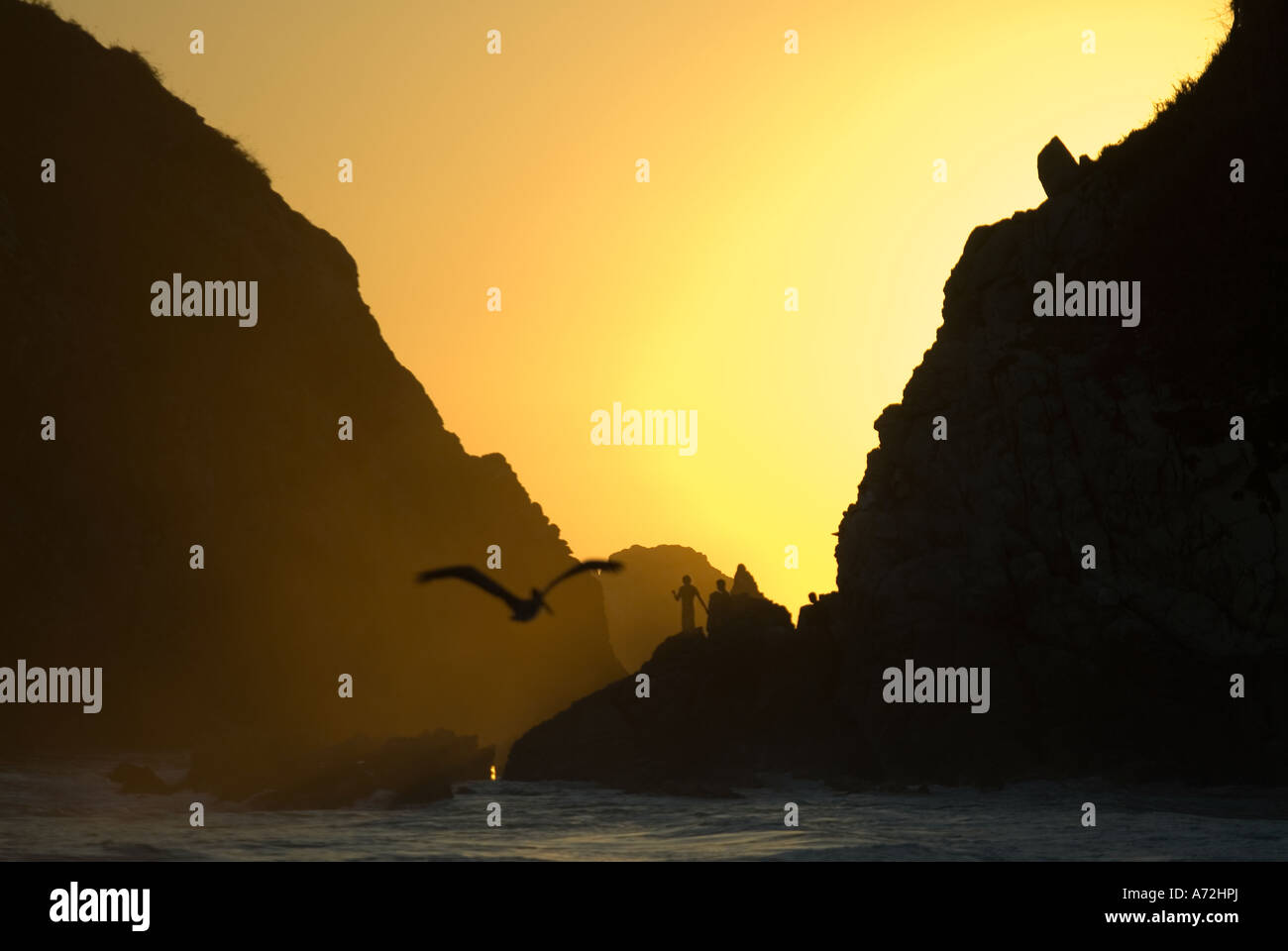 Zipolite - sunset with godwits and three men in the background stand on ...