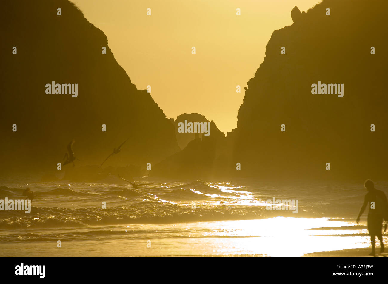Zipolite - man walk in the sand at sunset with godwits and three men in ...