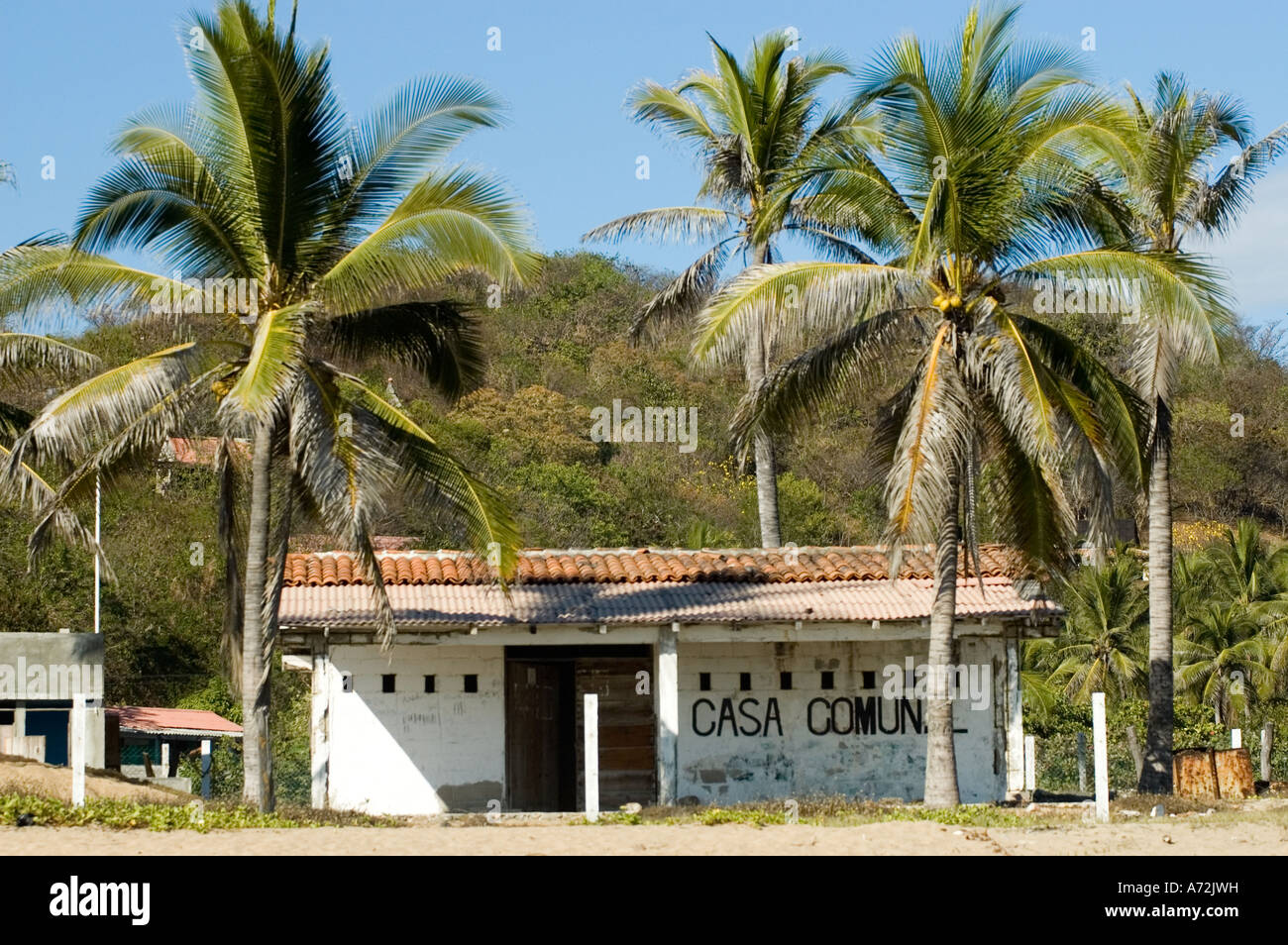 Zipolite beach oaxaca palm hi-res stock photography and images - Alamy