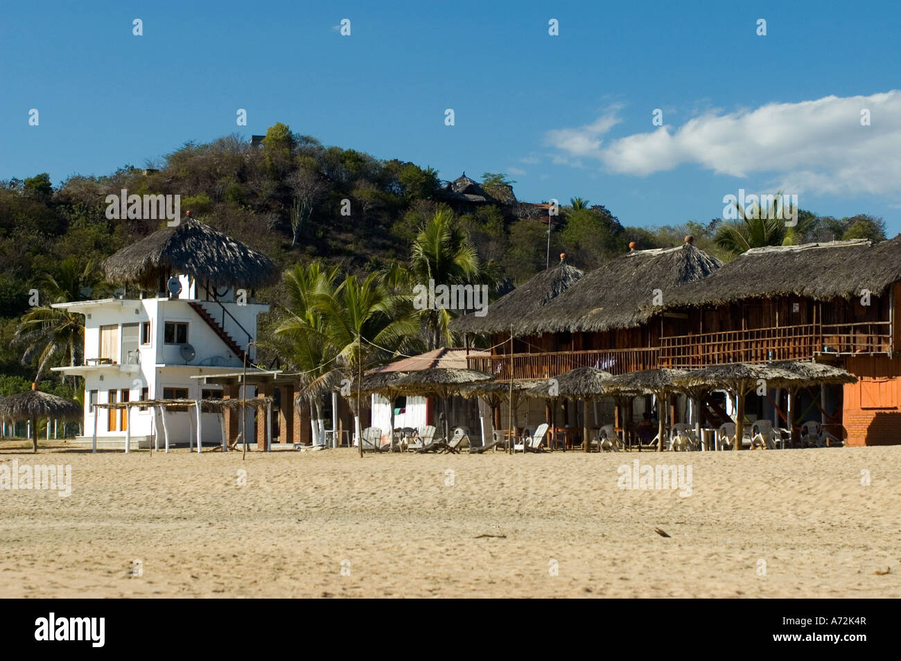 Zipolite beach oaxaca palm hi-res stock photography and images - Alamy