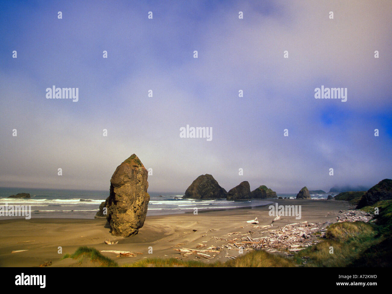 Cape Sebastian Pacific coast Stock Photo - Alamy