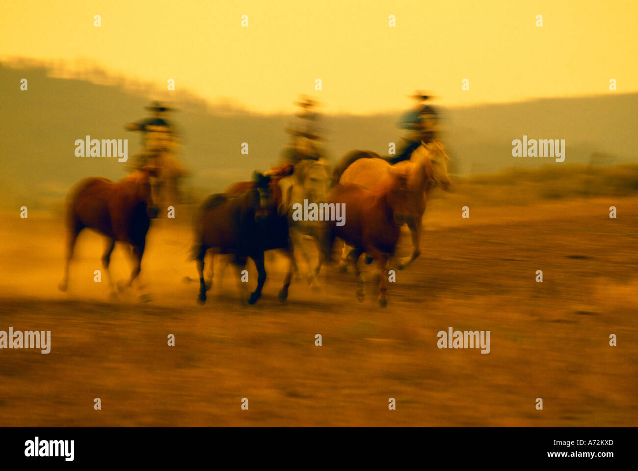 Ponderosa ranch hi-res stock photography and images - Alamy