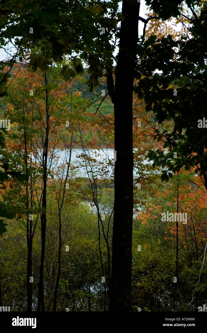 Autumn Color Acadia Nat Park ME Stock Photo - Alamy
