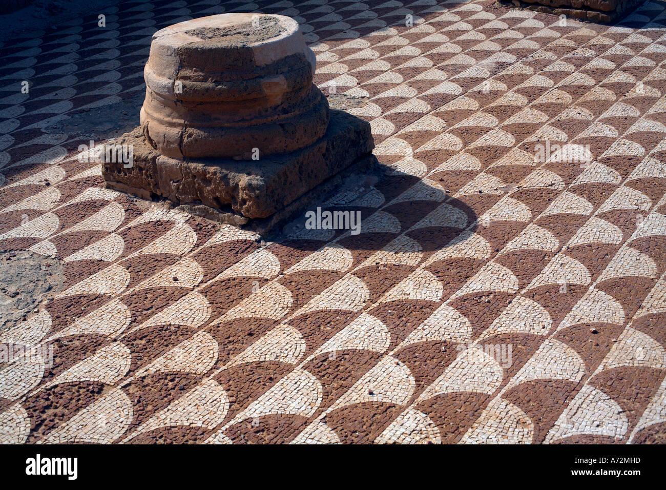 Floor mosaics in the unique roman villa Silene near Leptis Magna in ...