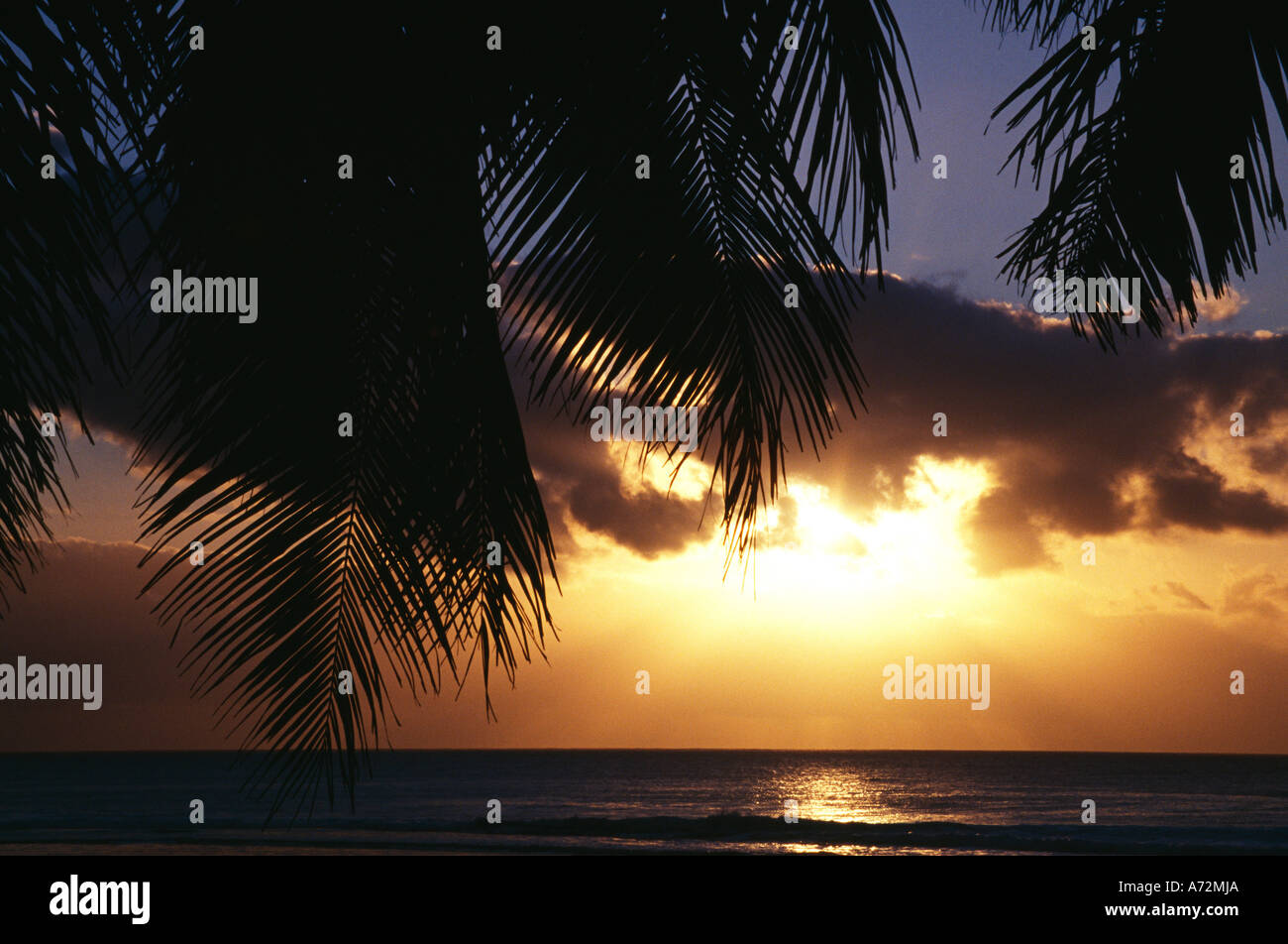 Cook islands capital hi-res stock photography and images - Alamy