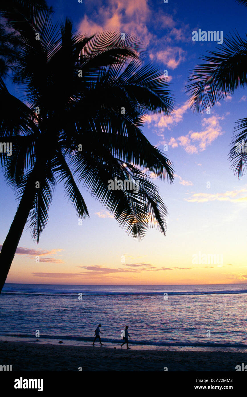 Sunset palm trees and people silhouetted on Rarotonga Beach South ...