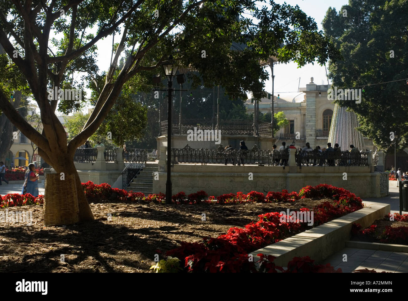 Oaxaca main square - Mexico Stock Photo - Alamy