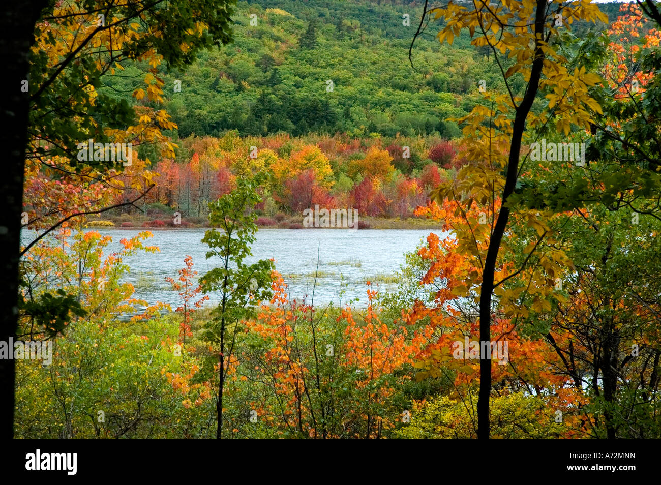 Autumn Color Acadia Nat Park ME Stock Photo - Alamy
