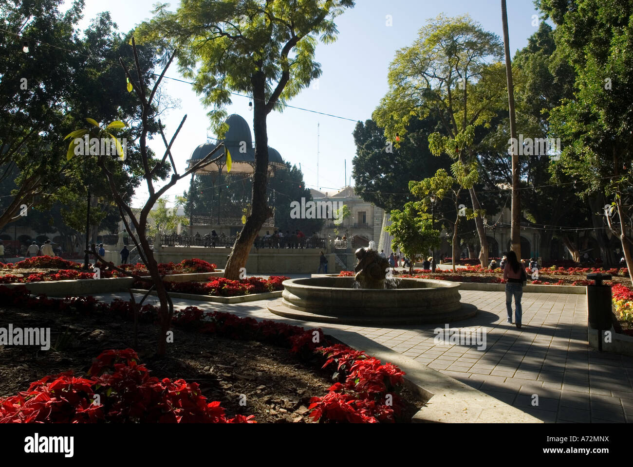 Oaxaca main square - Mexico Stock Photo - Alamy