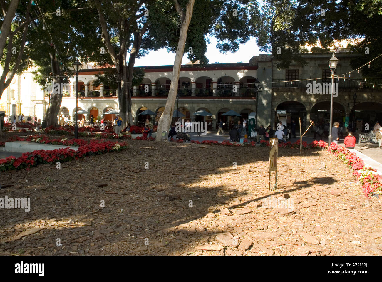 Oaxaca main square - Mexico Stock Photo - Alamy