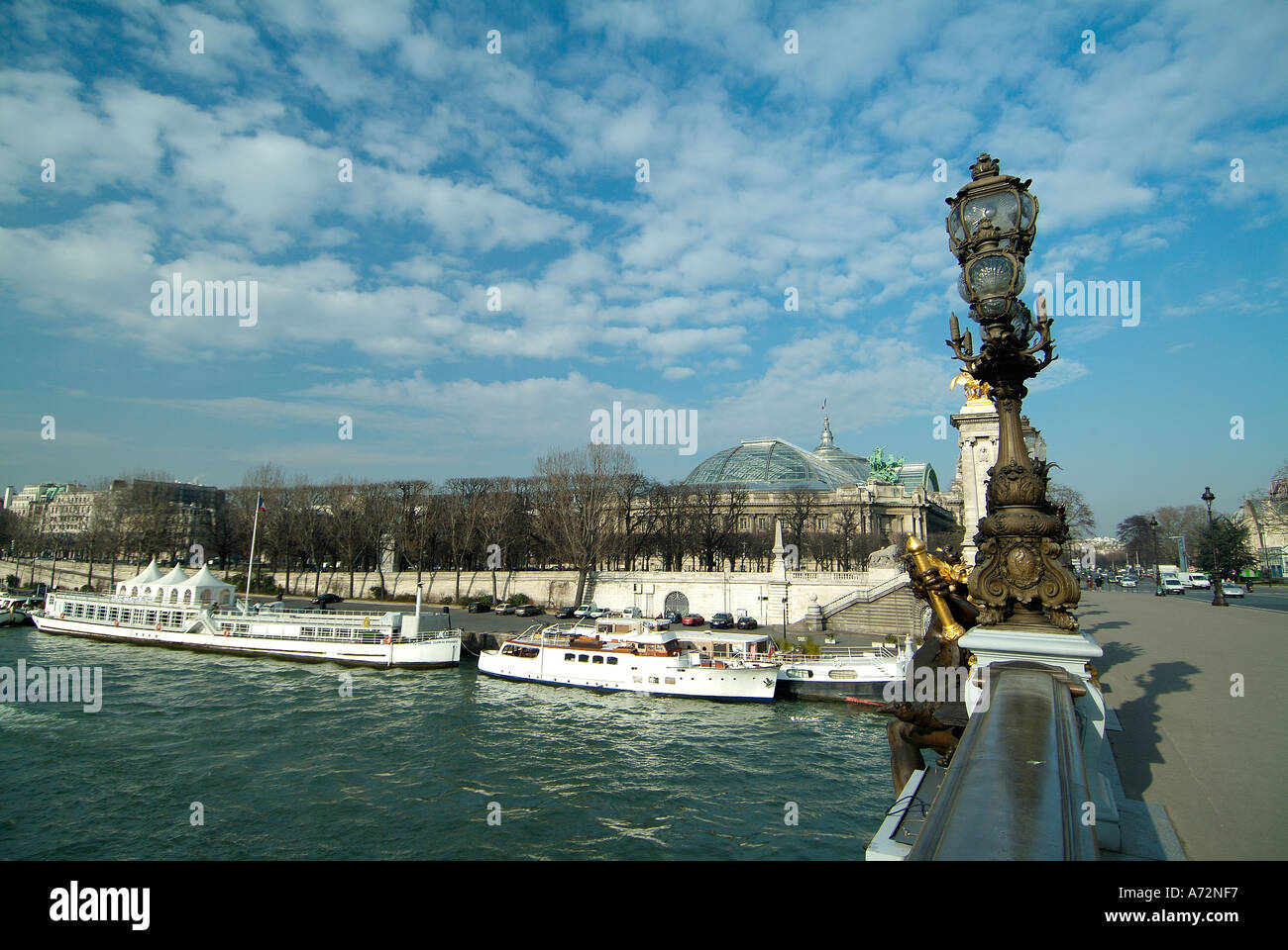 Alexandre 3 bridge over the Seine in Paris Stock Photo - Alamy