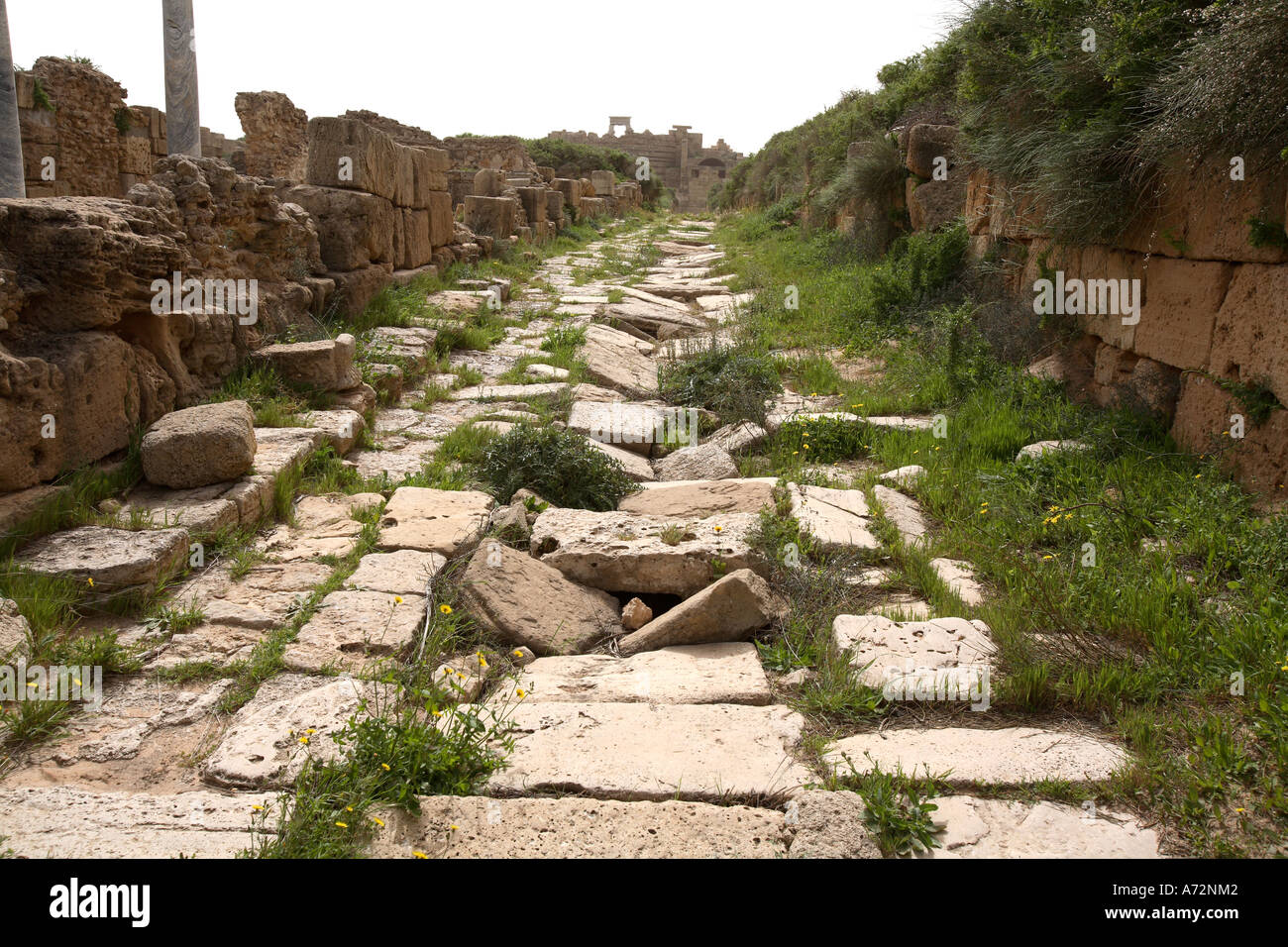 Libya roman medusa hi-res stock photography and images - Alamy