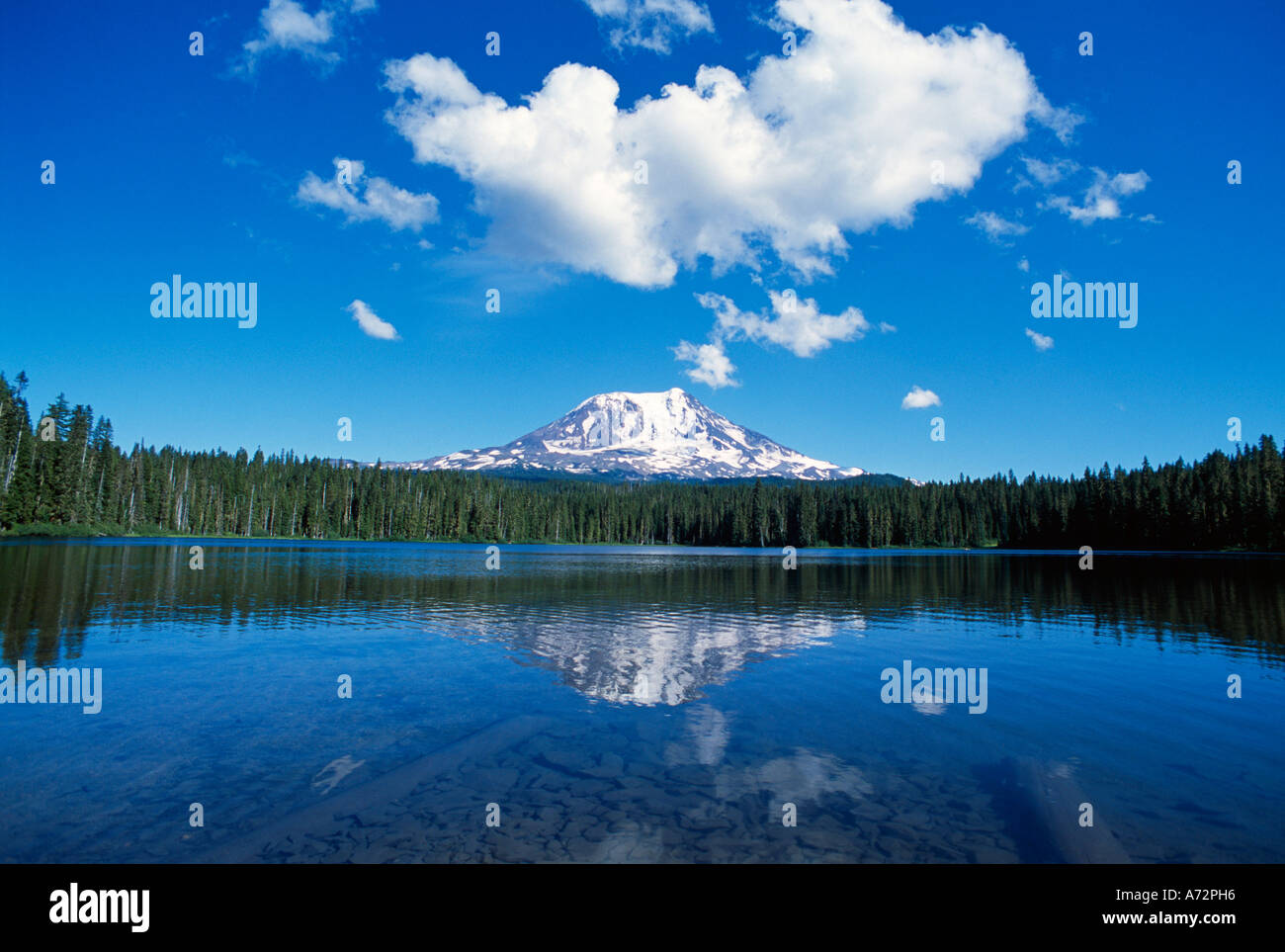Takhlakh Lake Mount Adams reflection Mount Adams Wilderness Stock Photo ...