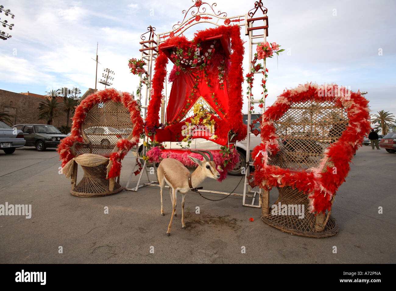A tableau with a young gazelle for photographic portraits in Green ...