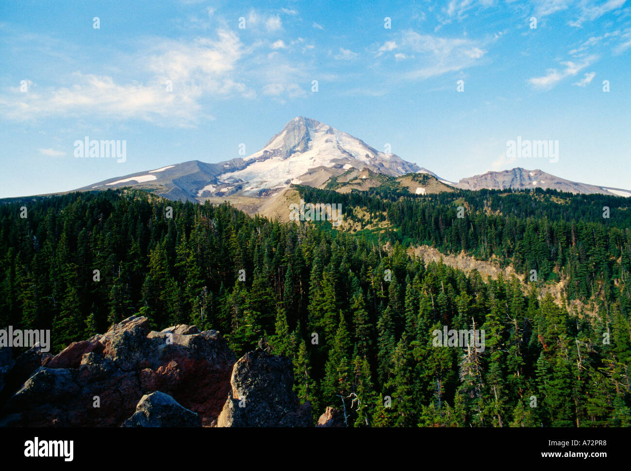 View of Mount Hood from Cloud Cap Mount Hood Wilderness Stock Photo - Alamy
