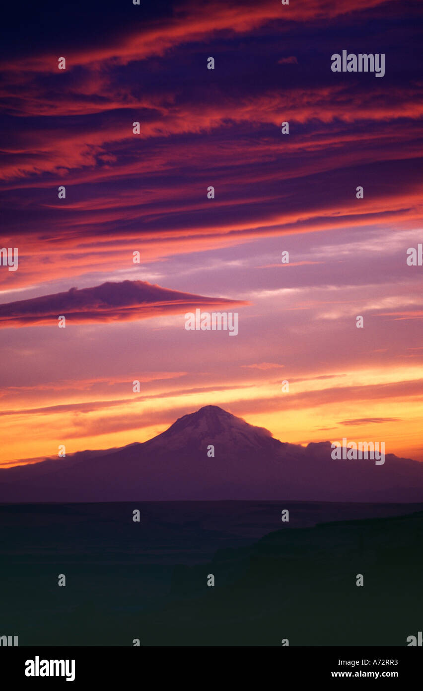 Mount Hood in sunset sky Stock Photo - Alamy