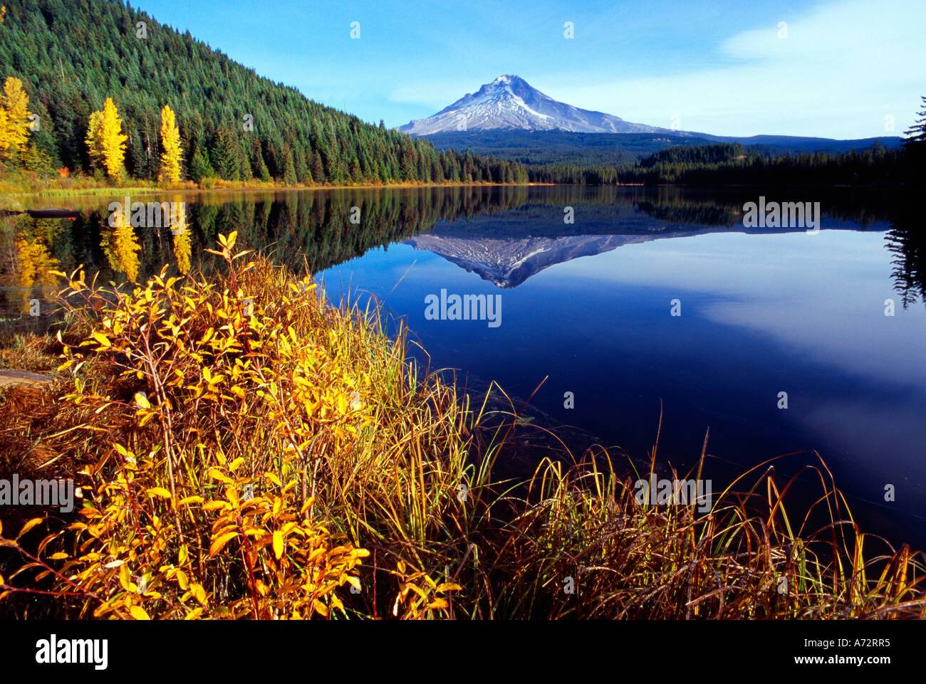 Trillium Lake, Mount Hood, Mount Hood National Forest, Oregon, USA ...