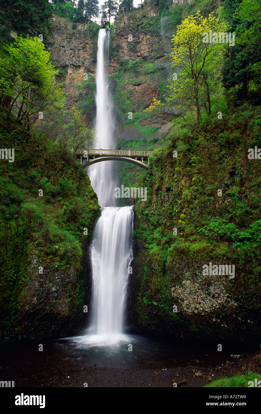 Multnomah Falls, Columbia River Gorge, Oregon, USA Stock Photo - Alamy
