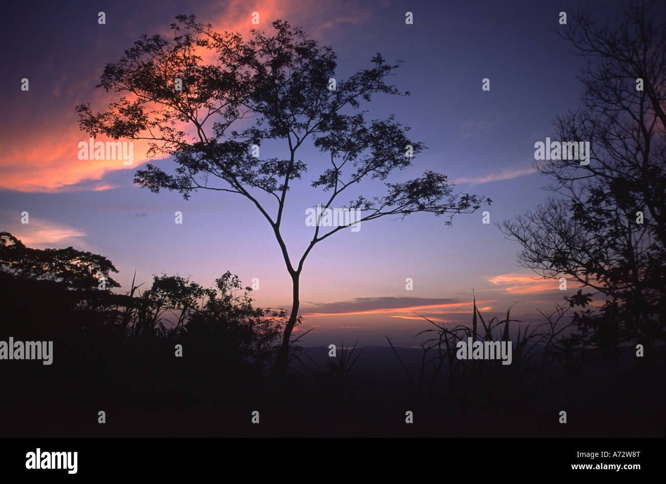 Amedzofe ghana hi-res stock photography and images - Alamy
