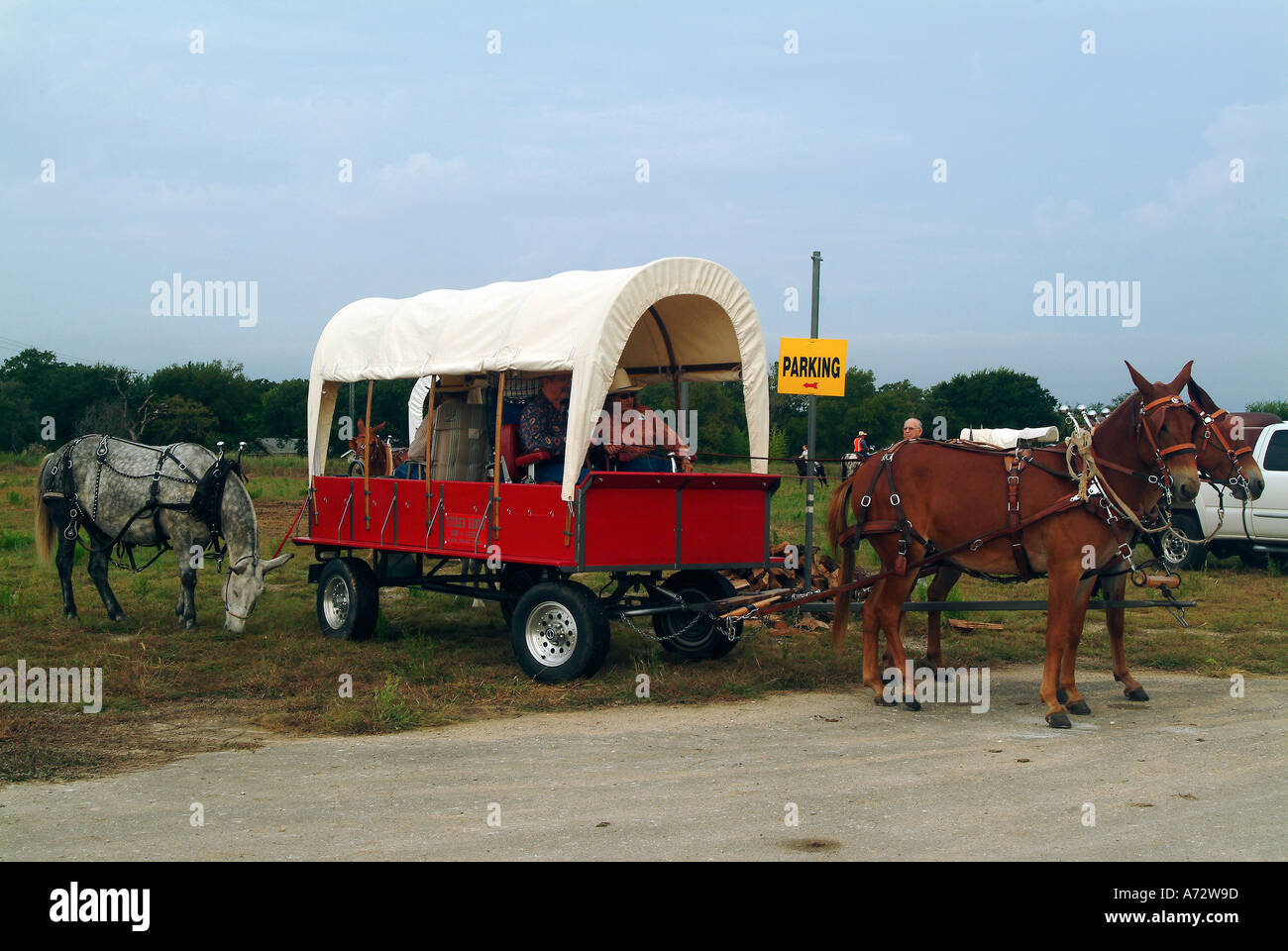A cowboy trailer pulling by two donkeys Texas Stock Photo - Alamy