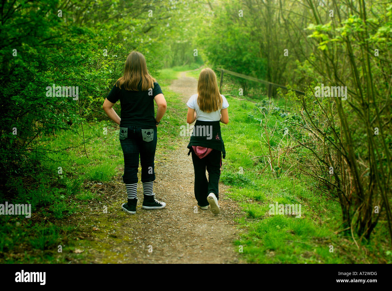 Two children walk along a path through a forest hi-res stock ...