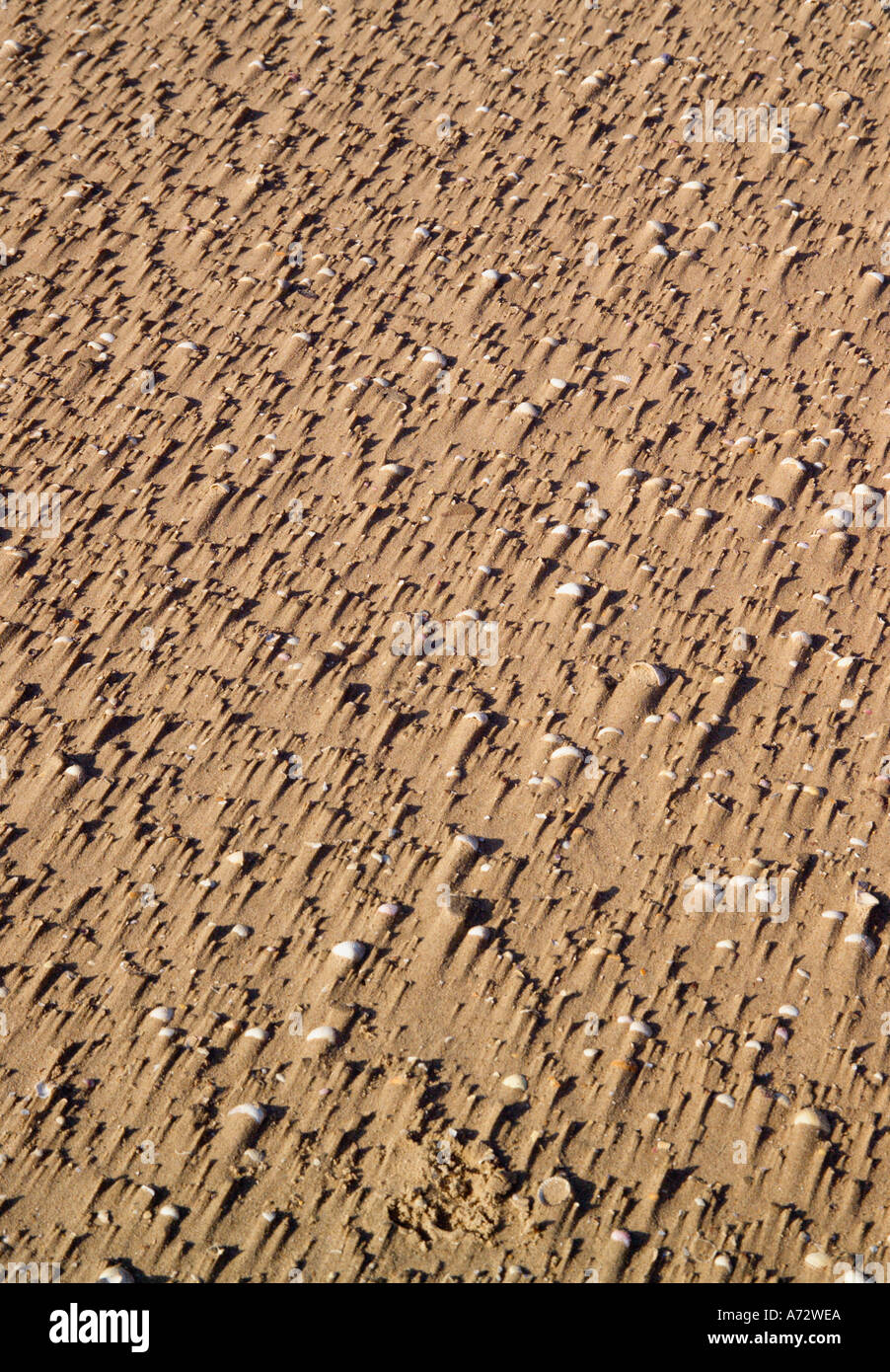 Pebbles on a wind blown beach Wirral Merseyside England Stock Photo - Alamy