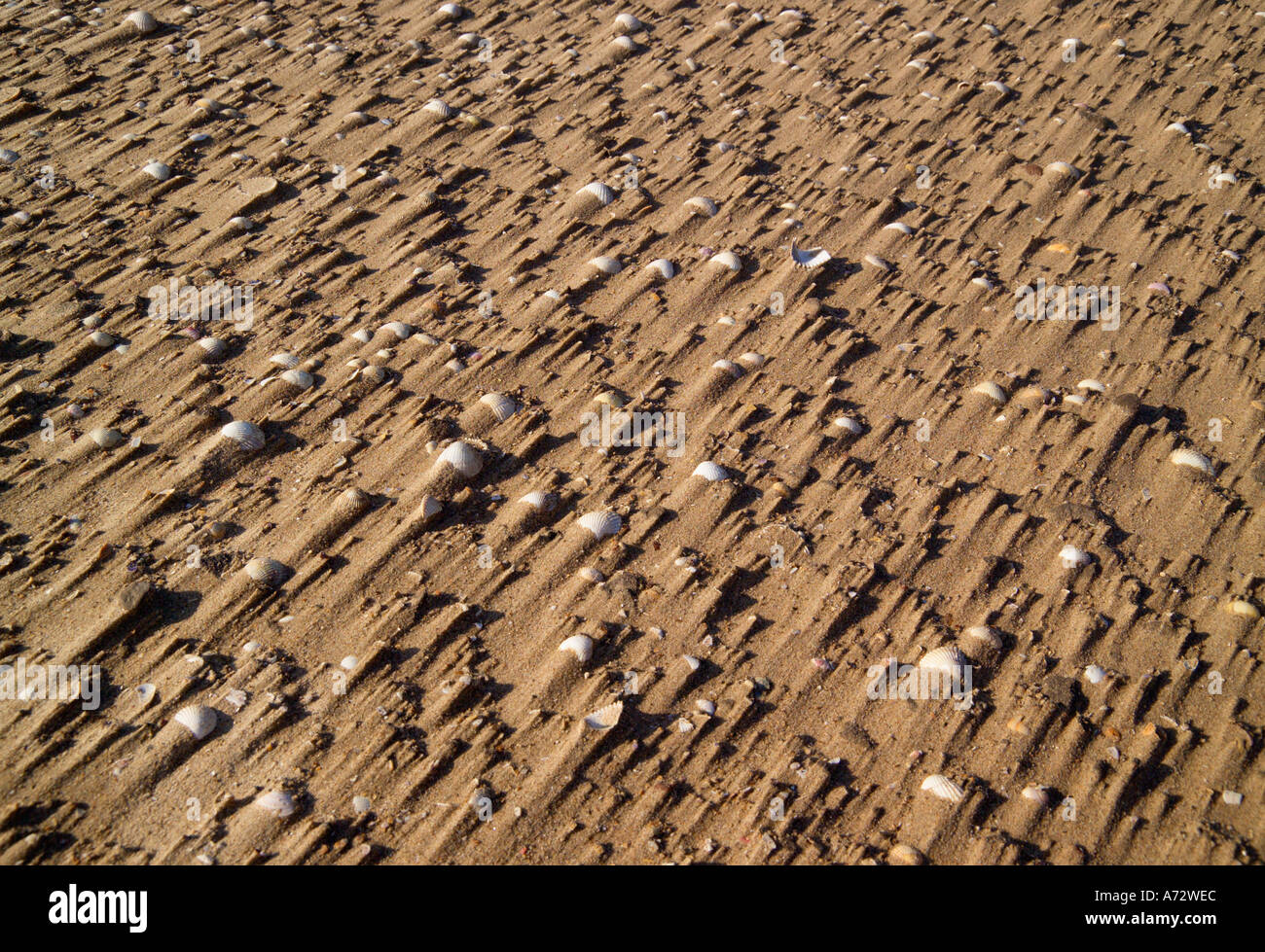Coastal erosion wirral hi-res stock photography and images - Alamy