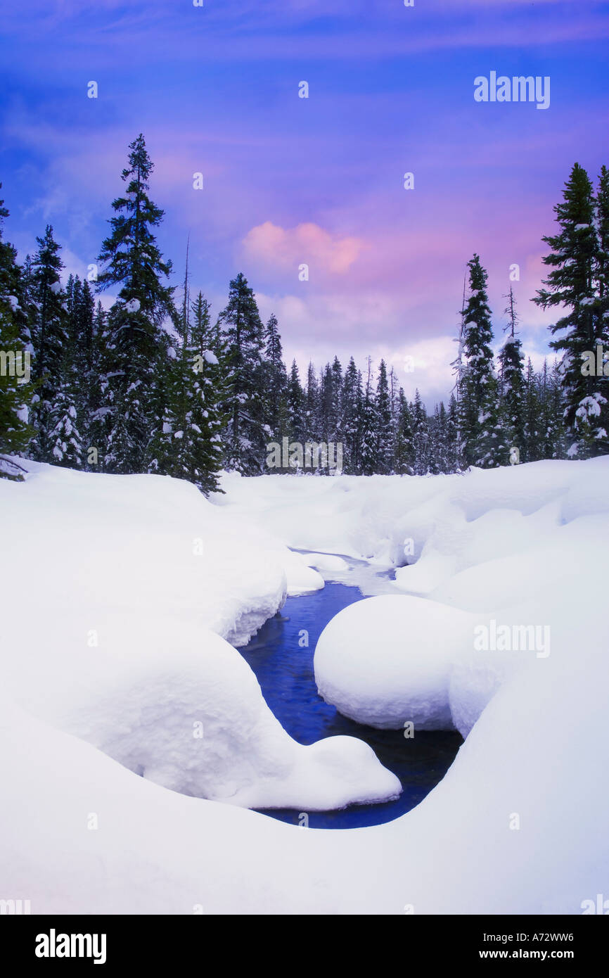 Stream through forest in winter Stock Photo - Alamy