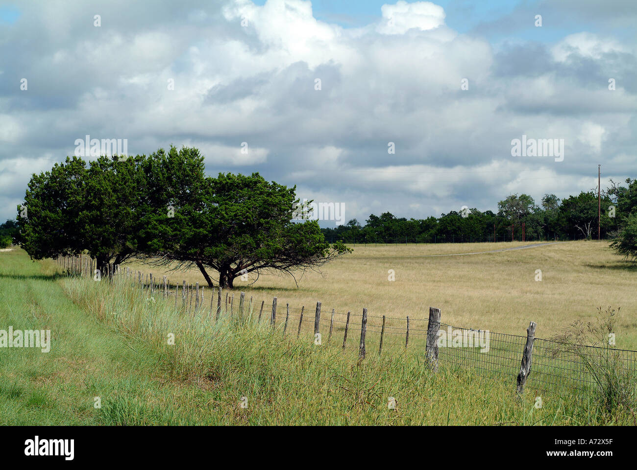 Landscape in Texas Stock Photo - Alamy